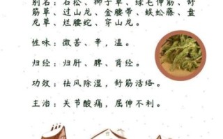 伸筋草的功效与作用_伸筋草能治什么病