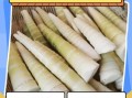鲜竹笋怎么做好吃_鲜竹笋怎么处理不涩