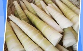 鲜竹笋怎么做好吃_鲜竹笋怎么处理不涩