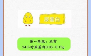 蛋白尿是什么症状_蛋白尿能自愈吗