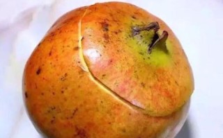 干石榴怎么剥皮_干石榴快速剥皮技巧