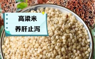 高粱米的功效与作用_高粱米营养价值高吗