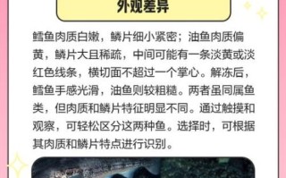 油鱼和鳕鱼蒸出来区别_怎么分辨真假鳕鱼
