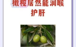 橄榄怎么吃_新鲜橄榄的吃法大全