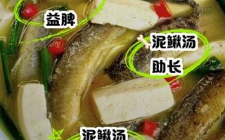 泥鳅炖豆腐的营养价值_泥鳅炖豆腐的功效与作用