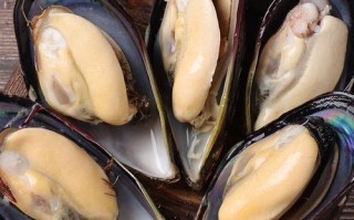 新鲜淡菜怎么吃_淡菜怎么清洗才干净