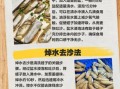 蛏子怎么清洗_蛏子怎么做才好吃