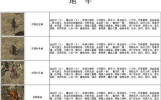 炒地皮规则技巧_如何稳赢炒地皮