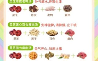 灵芝煲汤的正确做法_灵芝和什么一起煲汤好