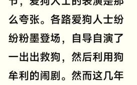 玉林狗肉节由来_为什么争议不断