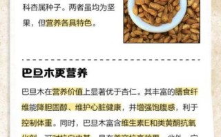 杏仁和巴旦木哪个营养价值高_区别与选择指南
