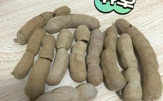 酸角汁孕妇可以喝吗_孕妇喝酸角汁注意事项