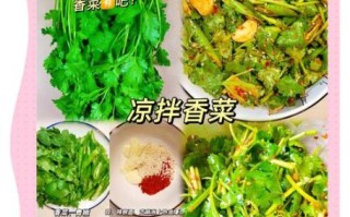 香菜怎么做好吃_香菜的吃法大全