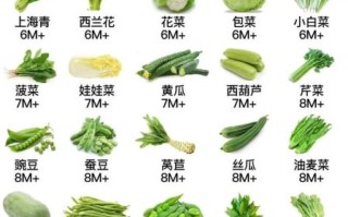 蔬菜营养成分表怎么看_哪些蔬菜营养最高