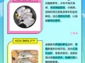 白鲳鱼和金鲳鱼的区别_哪个更好吃