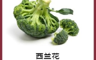 吃什么食物可以美白效果最好_哪些食物能快速提亮肤色