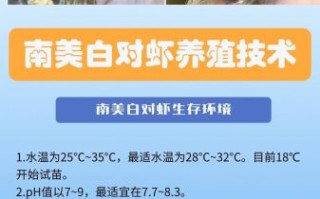 虾养殖技术_如何提高成活率