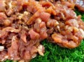 茴香和什么蔬菜最搭_茴香最佳搭配蔬菜推荐