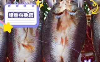 海鱼腊鱼怎么区分_腊鱼用什么鱼最好