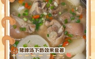 哺乳期猪蹄汤的做法_下奶猪蹄汤怎么炖