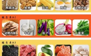 维生素b的食物有哪些_哪些食物富含维生素b族