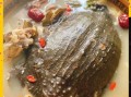 甲鱼汤的做法_补肾效果怎么样