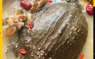 甲鱼汤的做法_补肾效果怎么样