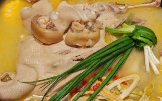 鸭肉煲怎么做好吃_鸭肉煲的做法大全