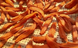 番薯干怎么做_自制番薯干要晒多久