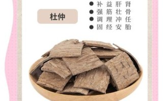 杜仲降血压效果好吗_杜仲对肝肾亏虚有用吗