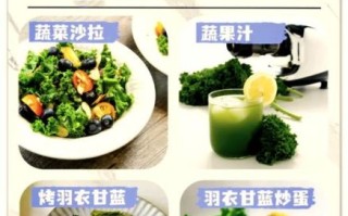 青甘蓝是不是包菜_区别与选购指南