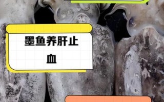 墨鱼的营养价值高吗_墨鱼有哪些营养成分