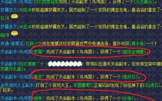 乌鸡国副本怎么打_乌鸡国副本掉落奖励