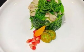 芥兰苗怎么种_芥兰苗的营养价值