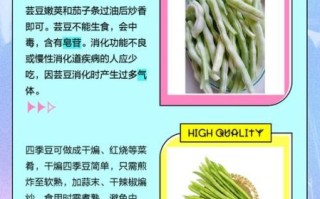 芸豆长什么样子_芸豆和四季豆的区别