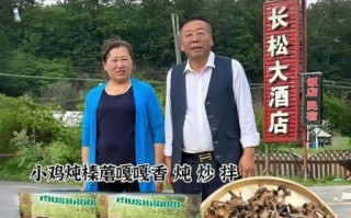 野生榛蘑多少钱一斤_野生榛蘑怎么做好吃