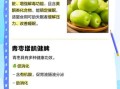 青枣的营养价值_青枣的功效与作用