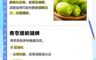 青枣的营养价值_青枣的功效与作用