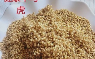 谷芽和稻芽的区别_谷芽与稻芽哪个更好