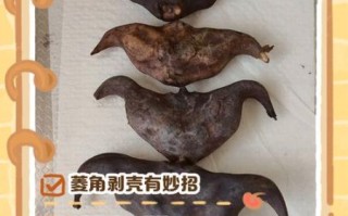 菱角怎么剥壳_菱角剥壳技巧