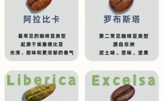 咖啡的种类有哪些_如何区分不同咖啡豆