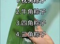 怎样煮粽子又糯又好吃_粽子怎么煮不夹生