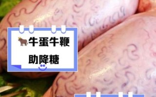 牛鞭和牛蛋哪个功效好_男人补肾吃哪个更管用