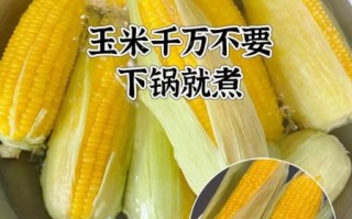 玉米怎么煮才好吃_玉米的家常做法大全