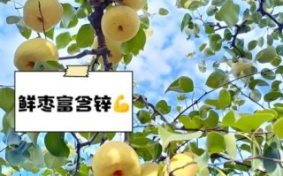 补锌水果之王_哪些水果含锌量最高