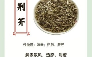 荆芥草的功效与作用_荆芥草怎么用