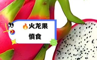 火龙果是寒性还是热性_吃火龙果上火吗