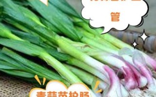 青蒜的营养价值_青蒜怎么吃最营养