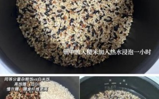 糙米怎么煮才好吃_糙米怎么做才香软