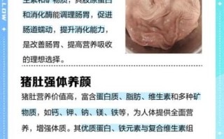 猪肚的营养价值_猪肚适合什么人吃